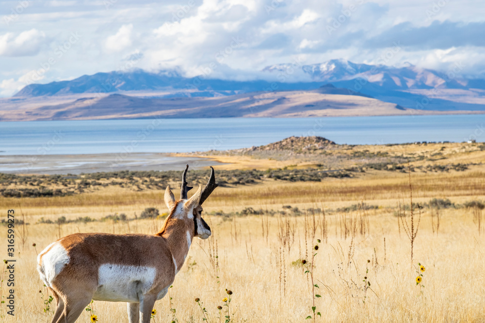 Wide Open Spaces Stock Photo | Adobe Stock