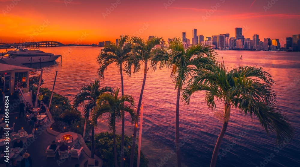miami florida sunset bridge buildings view tropical palm sky landscape ...