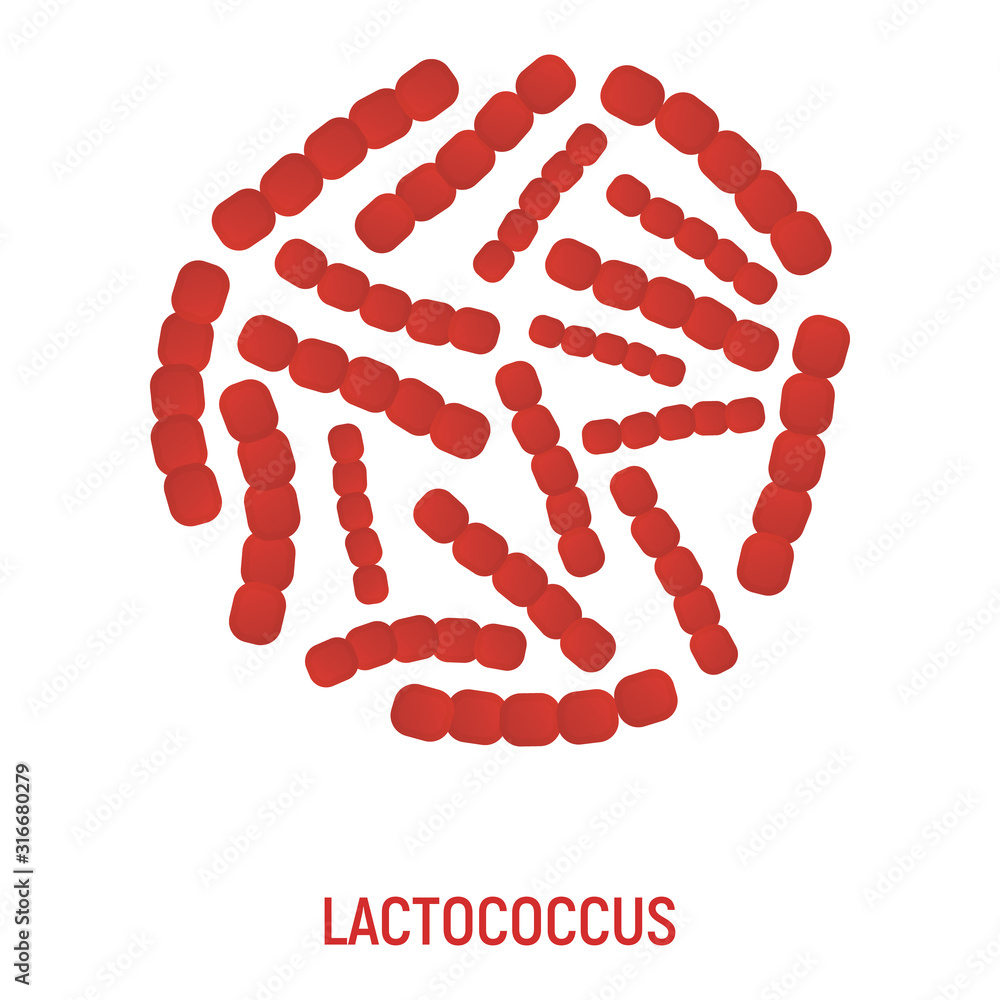 Lactococcus Icon. Probiotic Concept Logo and Label. Health Research ...