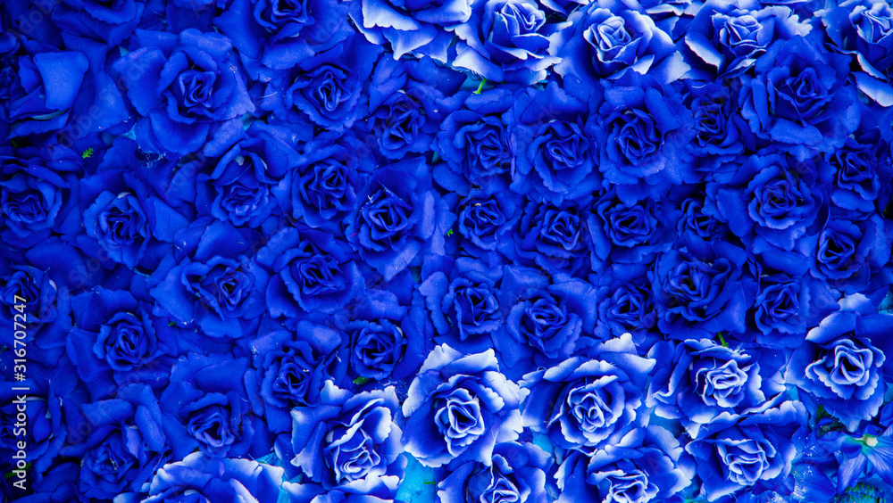 abstract blue background,Blue rose for texture background. Stock Photo ...