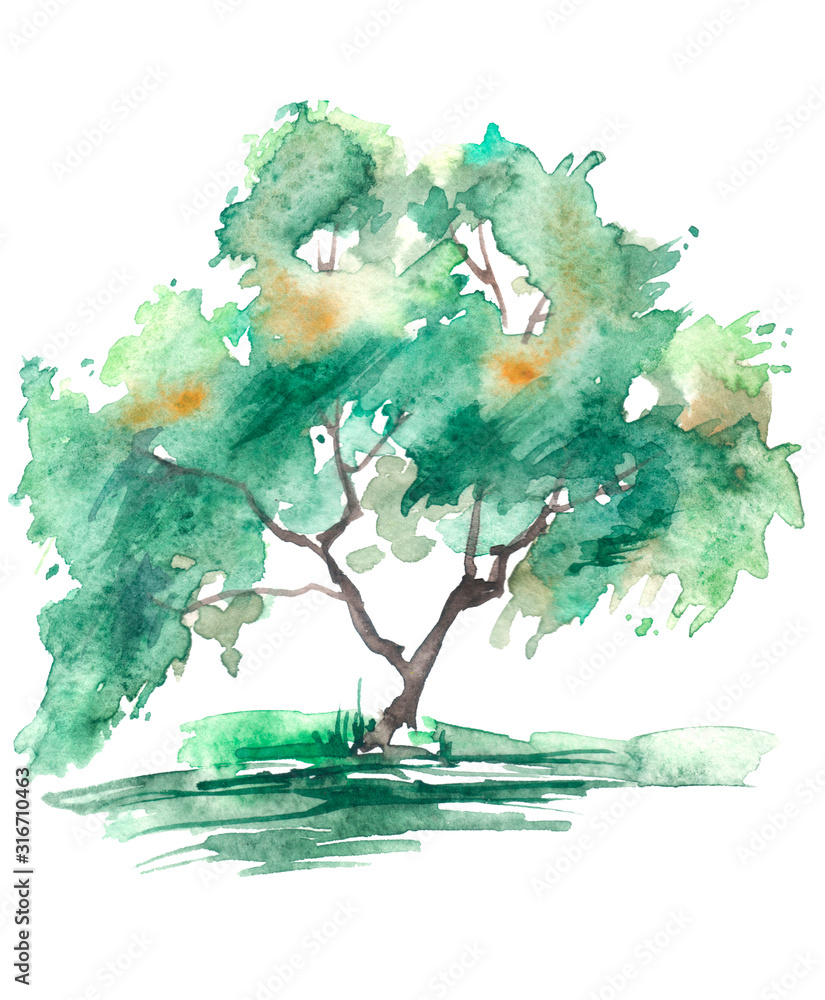 Green tree watercolor on white background. Summer, spring landscape ...