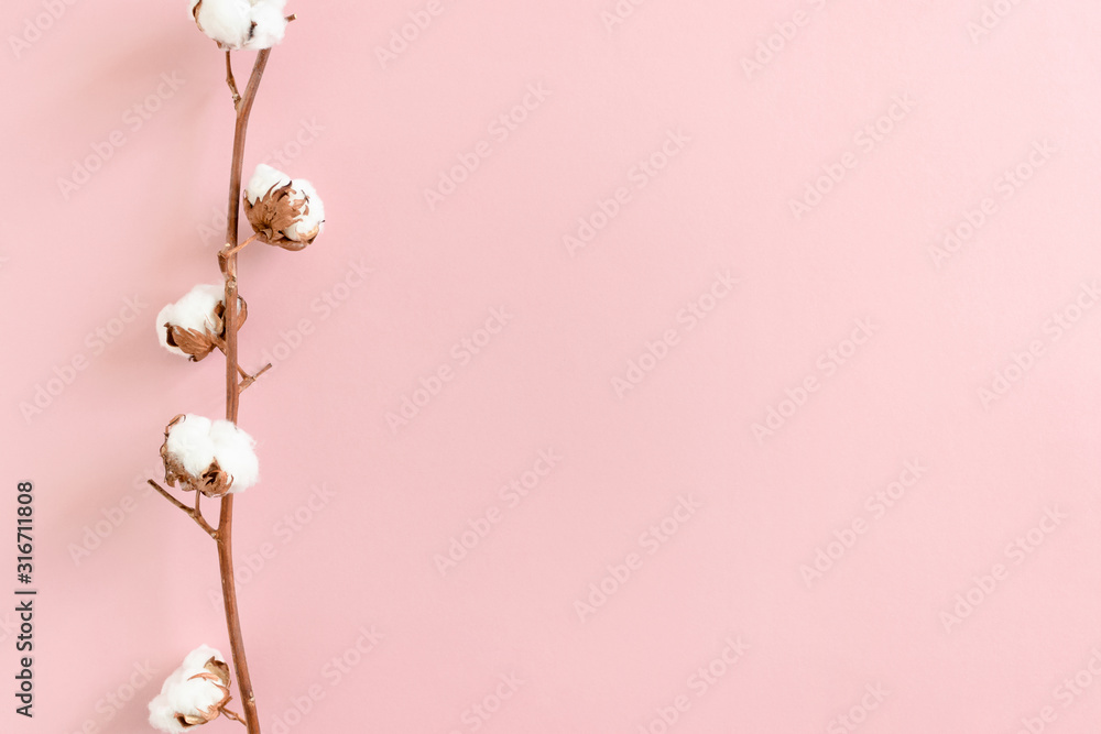 Border frame made of cotton branch on pink background Stock Photo ...