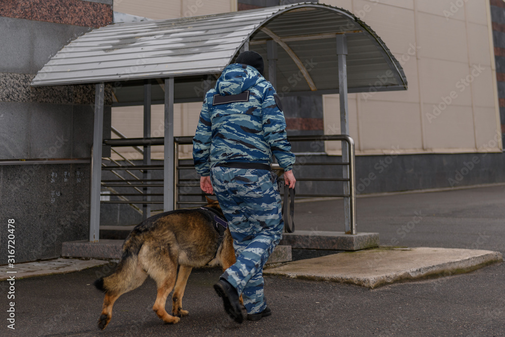 Female police officers with a trained dog. German shepherd police dog ...