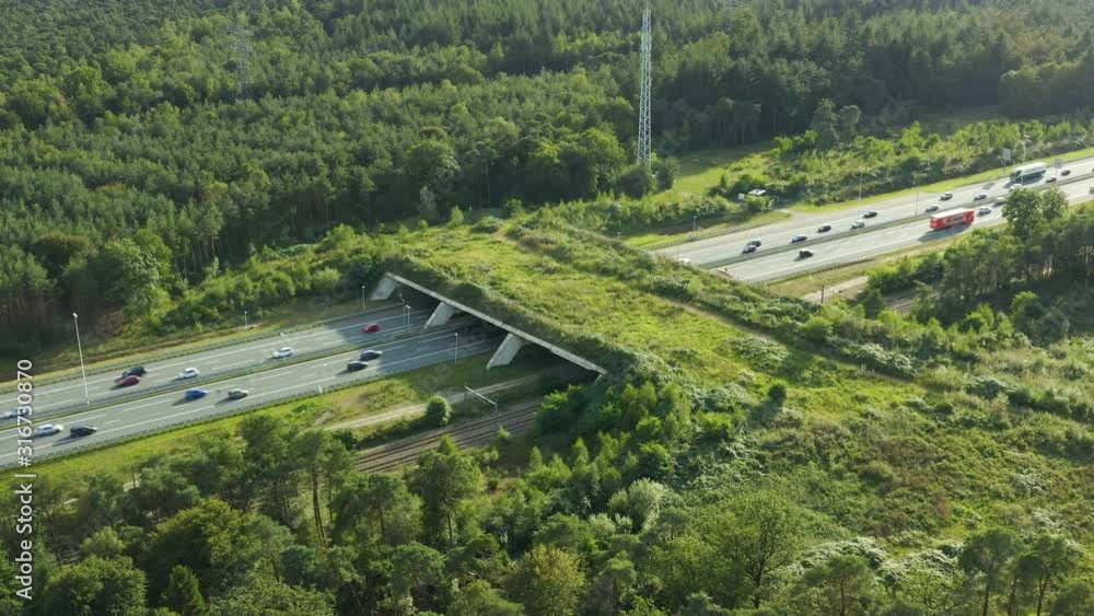 Aerial view of a wildlife crossing, known as an ecoduct spanning over a ...