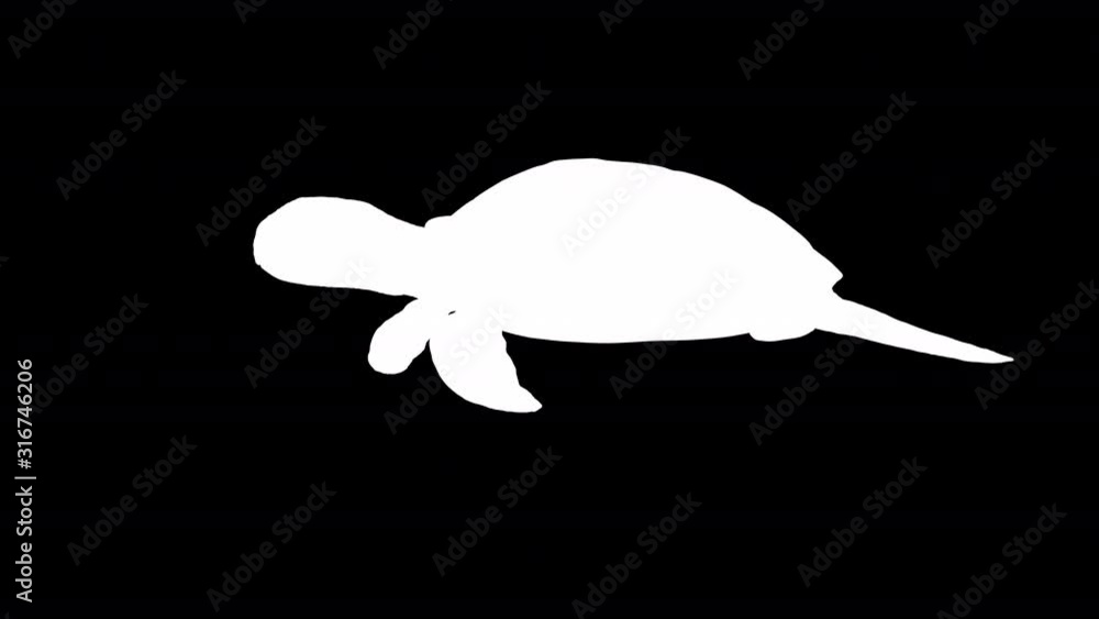 Sea turtle swim animation loop with 3d rendering include alpha path ...