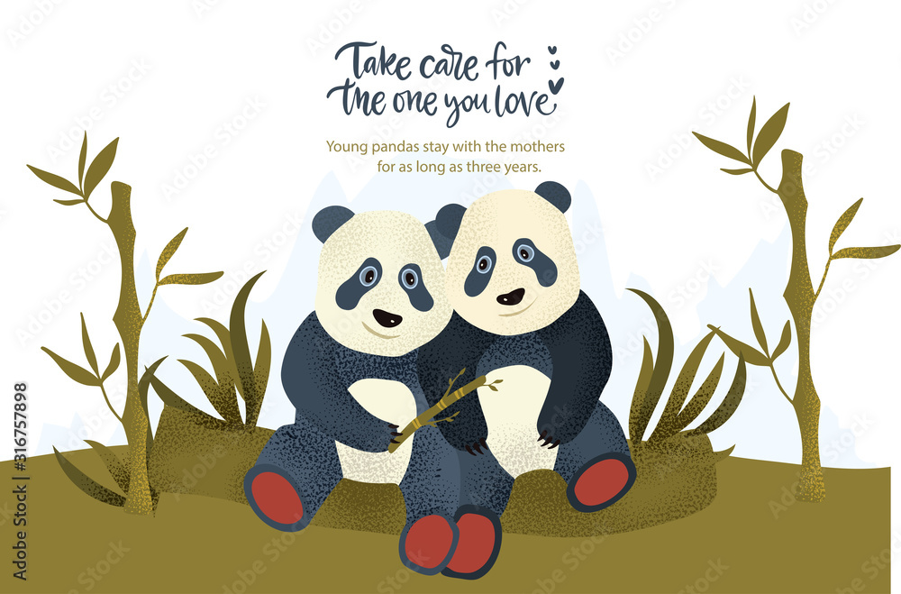 Cute Love Facts