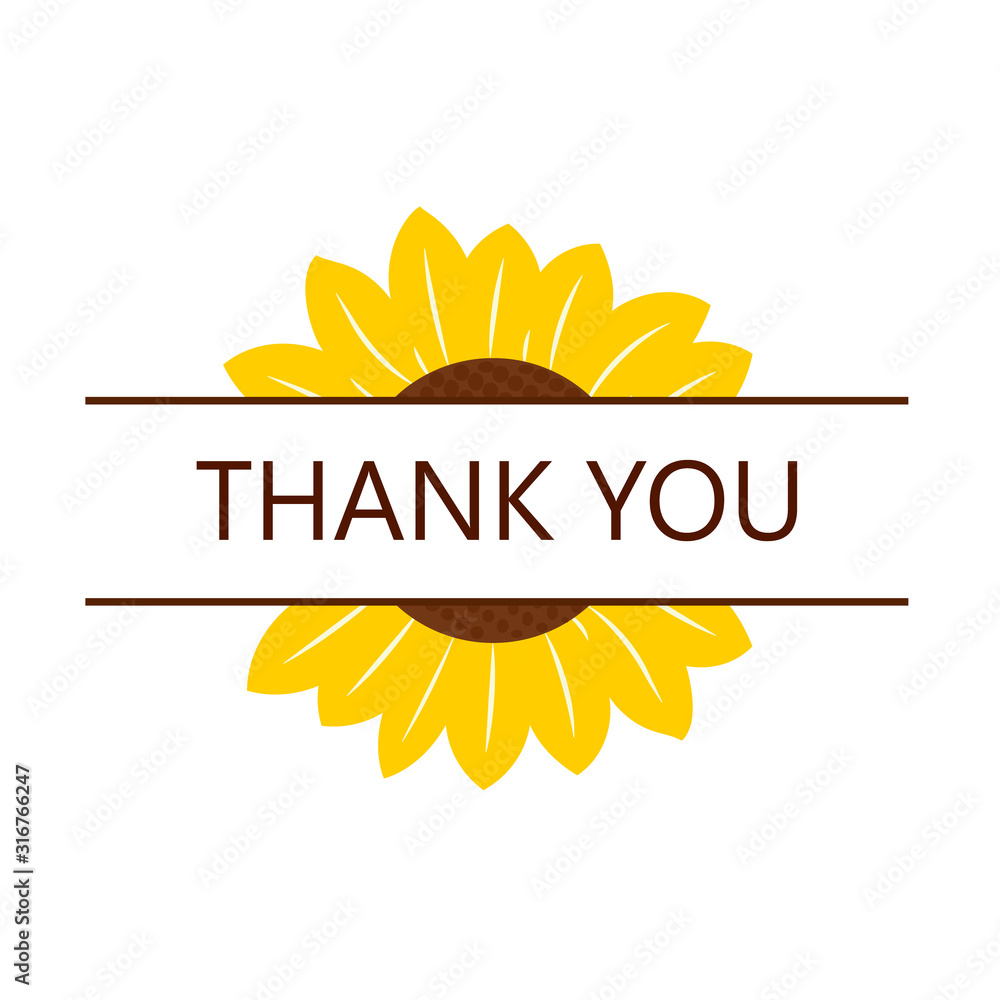 Split Sunflower with thank you. Clipart image isolated on white ...