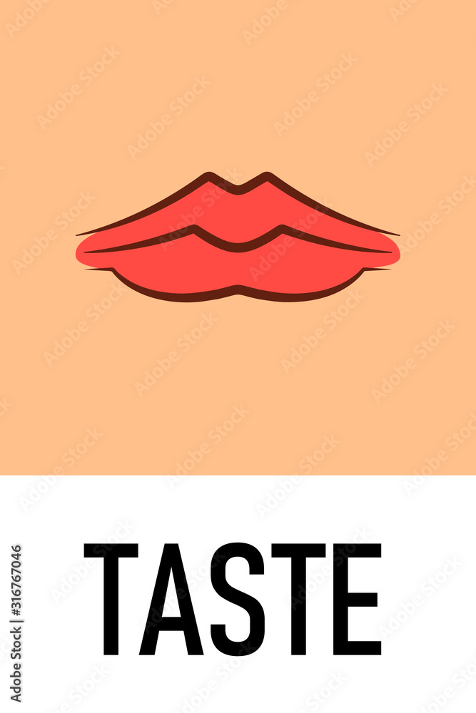 Sense Of Taste Clipart