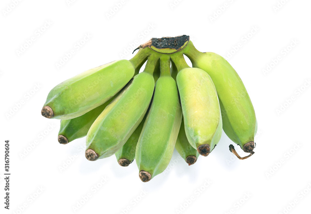 Banana (Musa ABB cv. Kluai 'Namwa'). Stock Photo | Adobe Stock