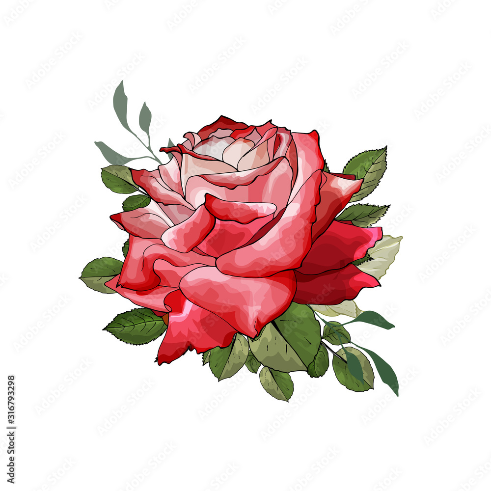 Single Red Rose Drawing
