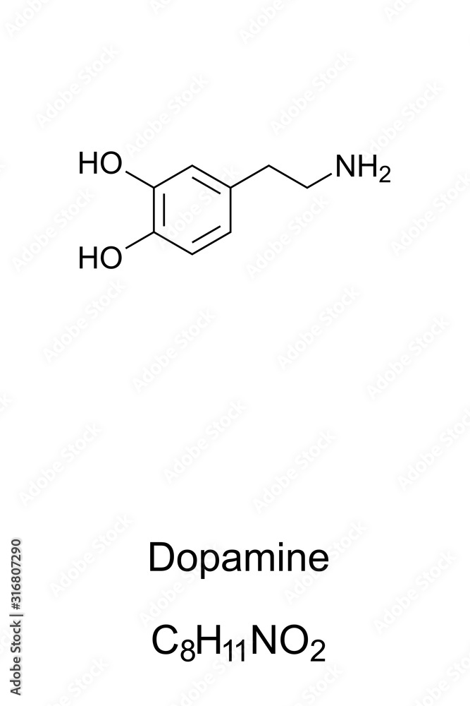 Dopamine molecule, skeletal formula. Structure of DA, C8H11NO2. Hormone ...