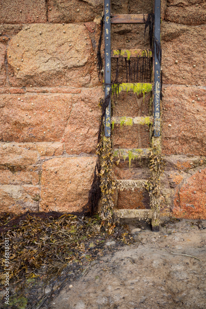Black ladder of a quay wall covered with seaweed Stock Photo | Adobe Stock