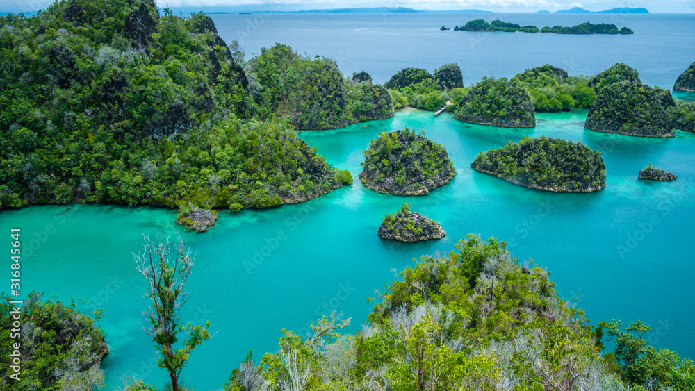 Painemo Island, Blue Lagoon, Raja Ampat, West Papua, Indonesia Stock ...