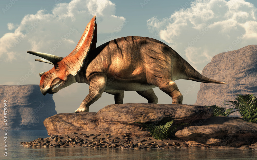 Torosaurus was ceratopsian dinosaur that was a frilled and horned, four ...