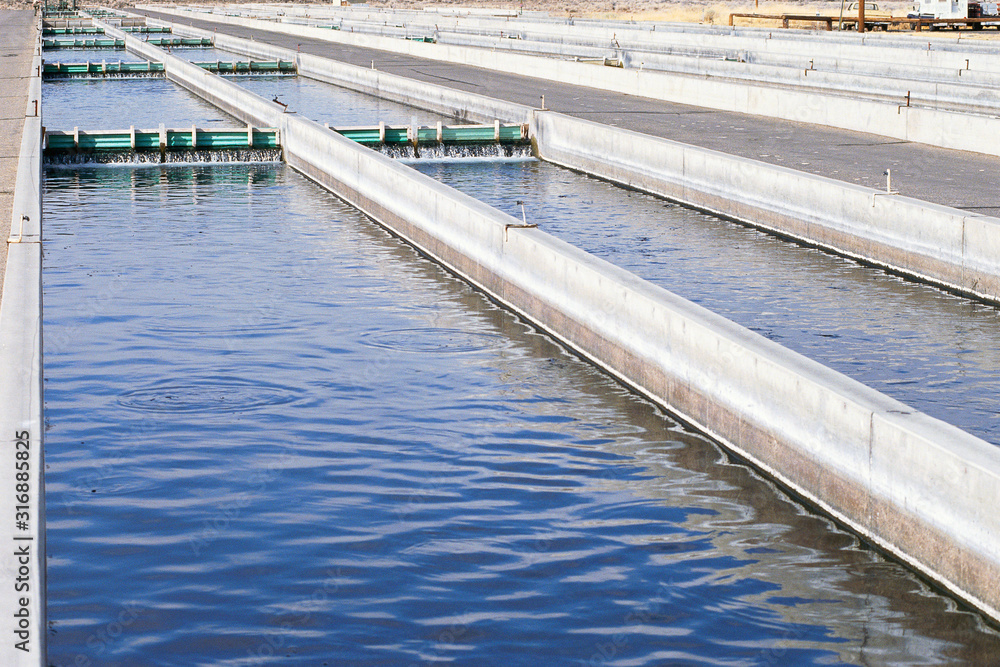 Replenishing tank at fish hatchery Stock Photo | Adobe Stock