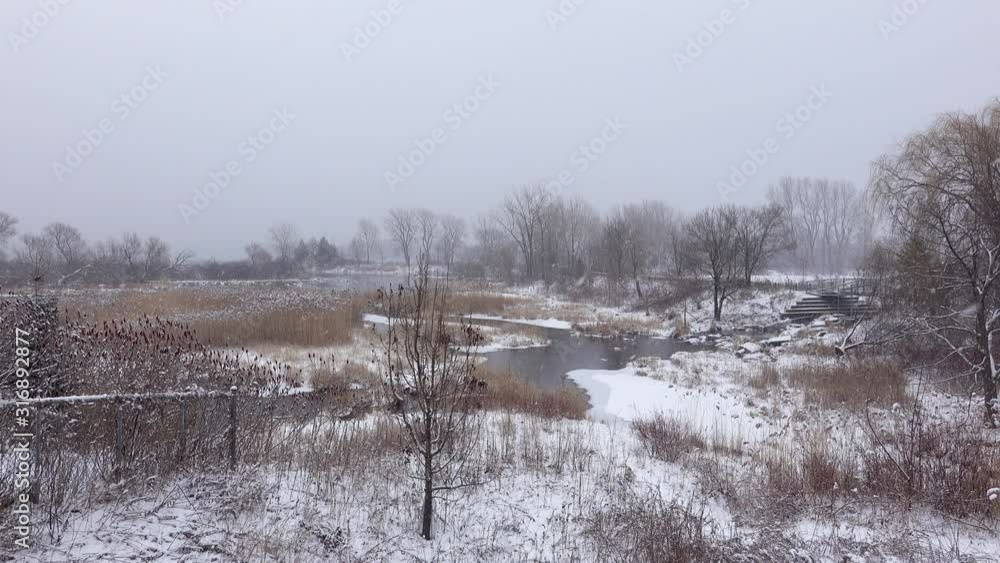 overexposed sun behind deciduous trees in winter reflecting into the ...