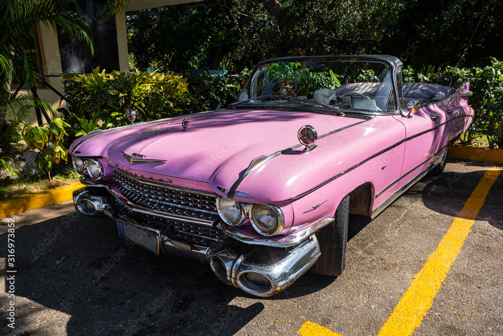 American pink Cadillac Cabriolet classic car parked under a tree in ...