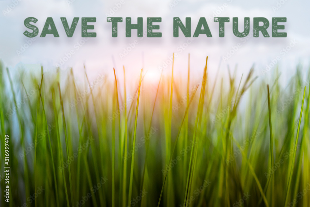 green grass. macro plan. call for conservation. with table of contents ...