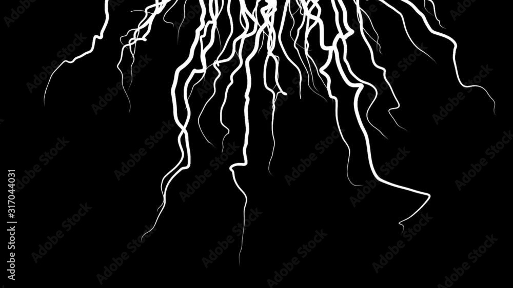Moving growing roots on black background. Animation. Abstract animation ...