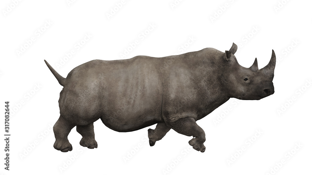 Isolated rhino with running pose view from side profile white ...