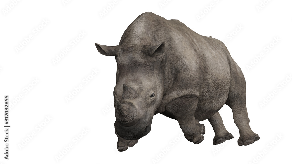 Head down angry rhino view from right side angle isolated clean cut 3d ...