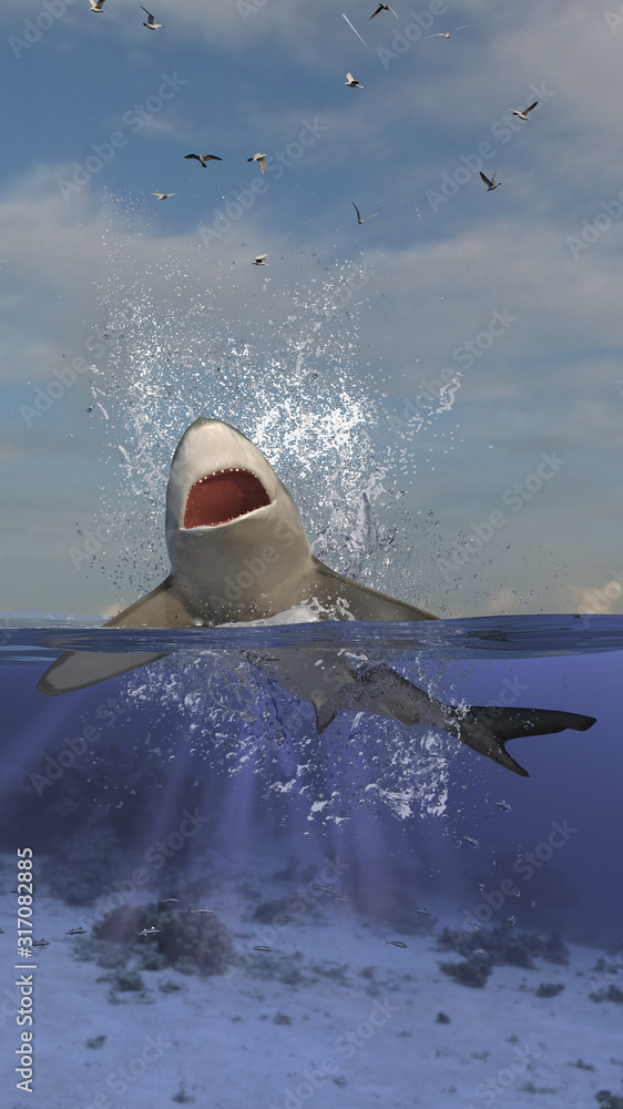 Bull shark leaping and jumping out of water line half split view of ...