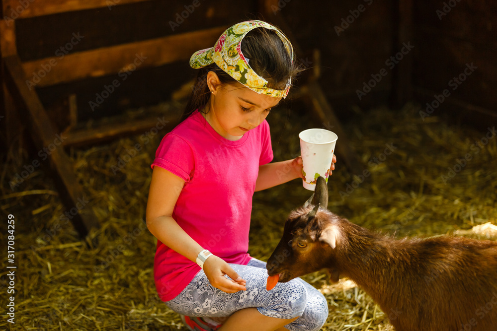 cute little kid feeding a goat at farm Stock Photo | Adobe Stock