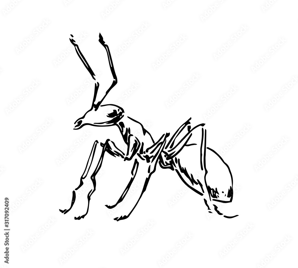 Hand drawn ant insect, one pismire painted by ink, emmet sketch vector ...