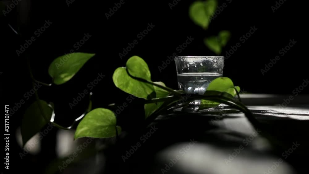 In a transparent glass with water drops of water fall. Splash scatter ...