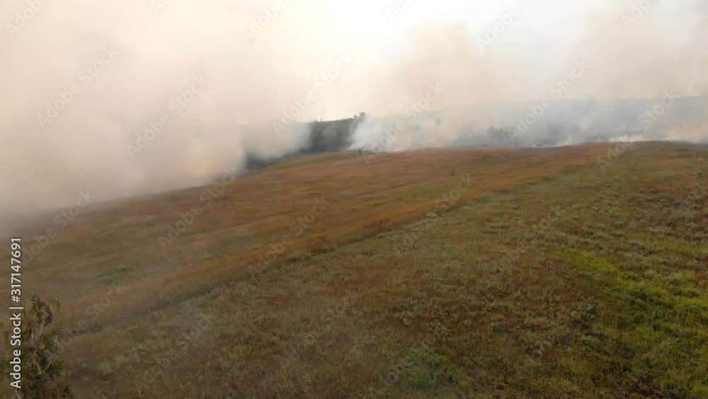 Forest fire smoke spreading. Smog above fields and forests. Intense air ...