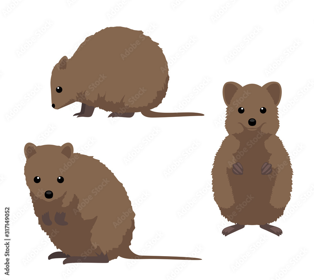 Australian Animal Quokka Cartoon Vector Illustration Stock Vector ...