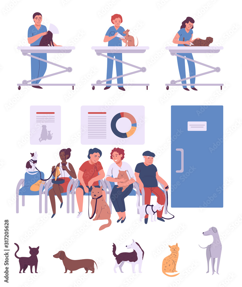 People with pets in veterinary clinic, cartoon characters vector ...