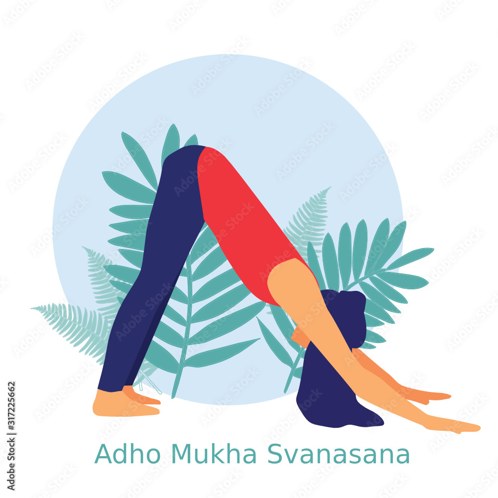 Adho Mukha Svanasana, Downward dog pose, female yoga Stock Vector ...