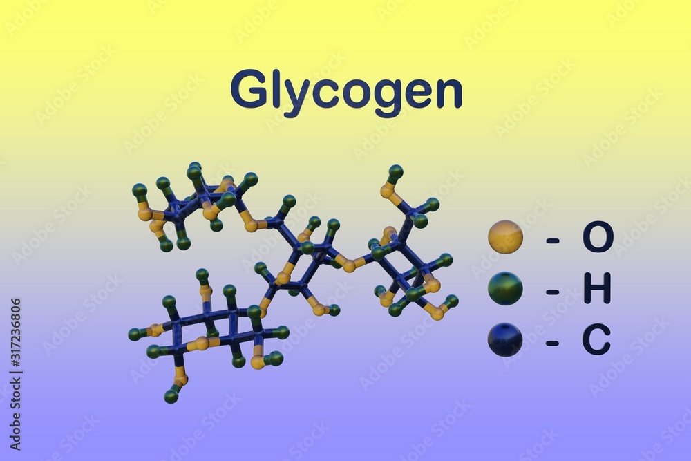 Glycogen molecule, a polysaccharide that serves as a form of energy ...