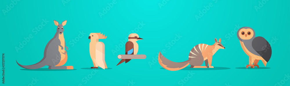 set cartoon endangered wild australian animals collection wildlife ...