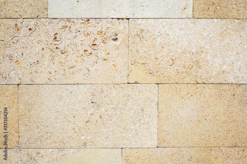 Brickwork of a shell rock. Stone porous texture with splashes of shell ...
