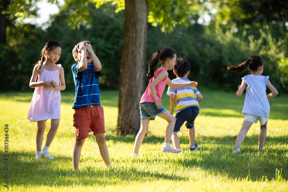 Happy children playing hide and seek on meadow Stock Photo | Adobe Stock