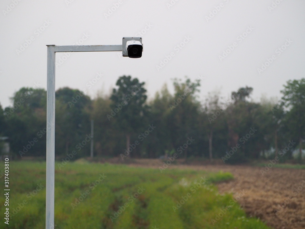 Outdoor CCTV camera operating inside organic farm plantation.Smart Farm ...
