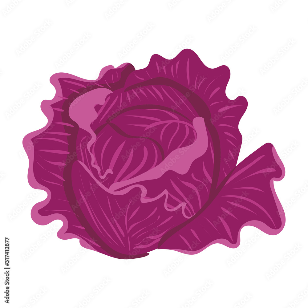 Red Cabbage Clip Art