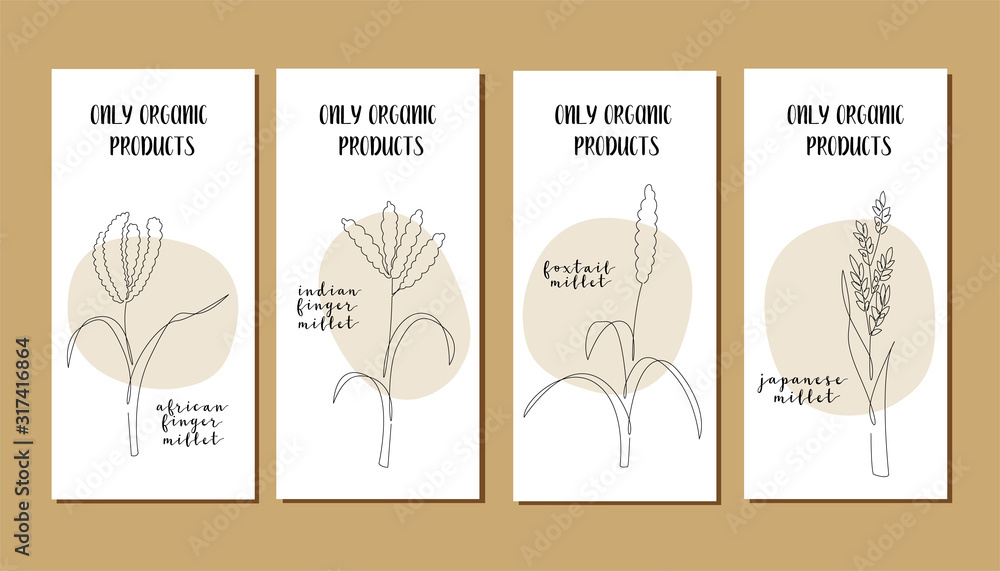 Set of flyers with continuous line millet. Vector line art. Perfect for ...