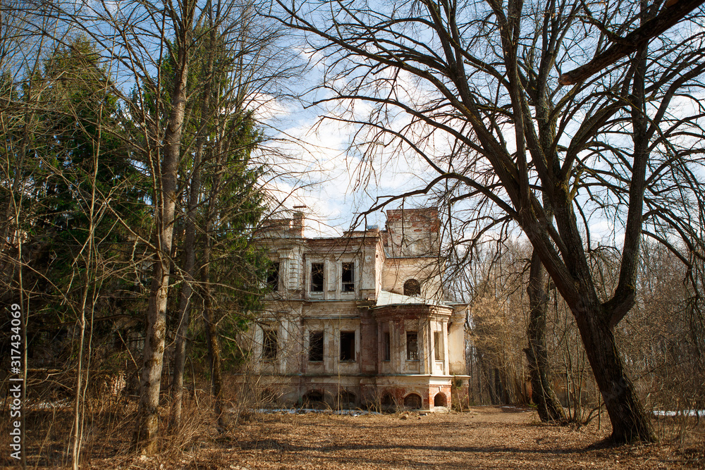 Old abandoned farmstead pavlishchev Bor in the spring through the bare ...