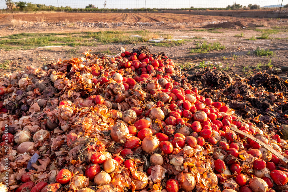 Vegetables thrown into a landfill, rotting outdoors. Stock Photo ...