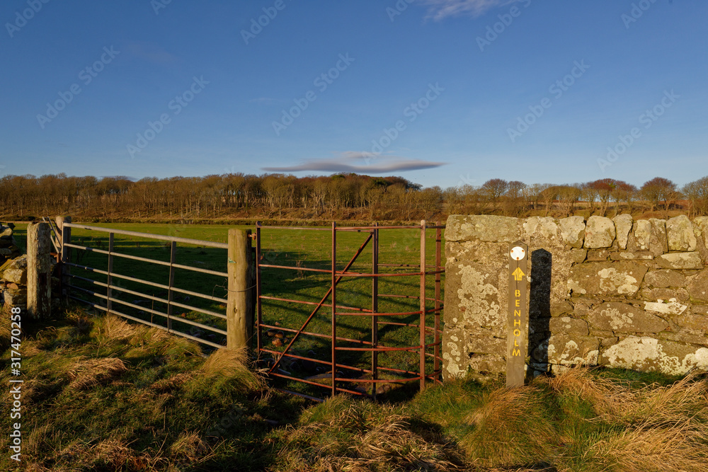 A metal Farm Field gate next to an old rusty Kissing gate set into the ...