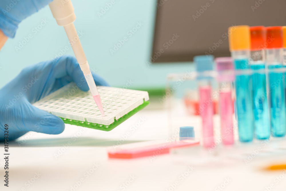Laboratory of genetic research. PCR plates and multichannel pipettes ...