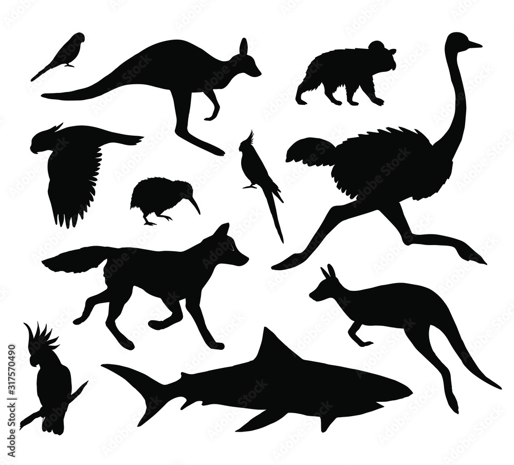 Vector set bundle of black Australian wild animals silhouette isolated ...