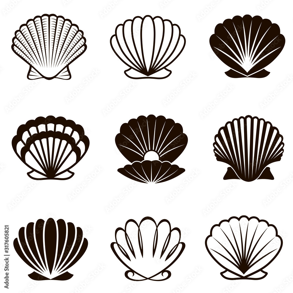 monochrome collection of various seashells isolated on white background ...