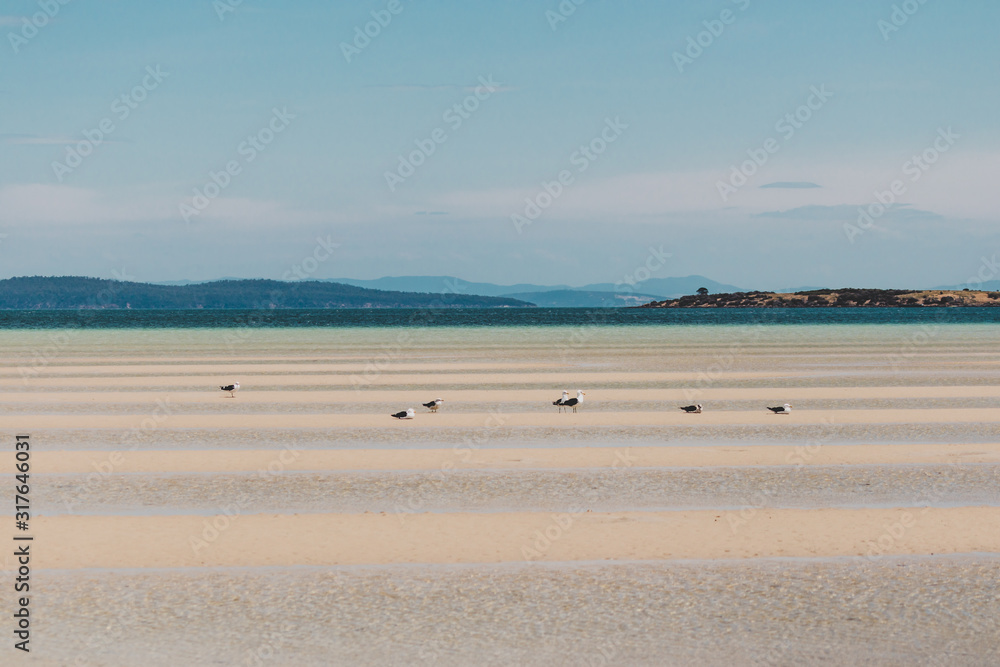 view of Dunalley Beach in Tasmania, Australia with sandbanks and ...