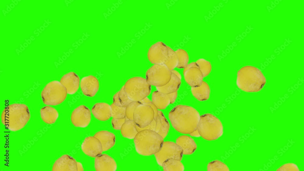 Lemons group falling transition animation green screen chroma key Stock ...