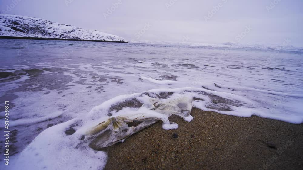 Vidéo Stock Arctic ocean pollution concept. Plastic pollution trash on ...