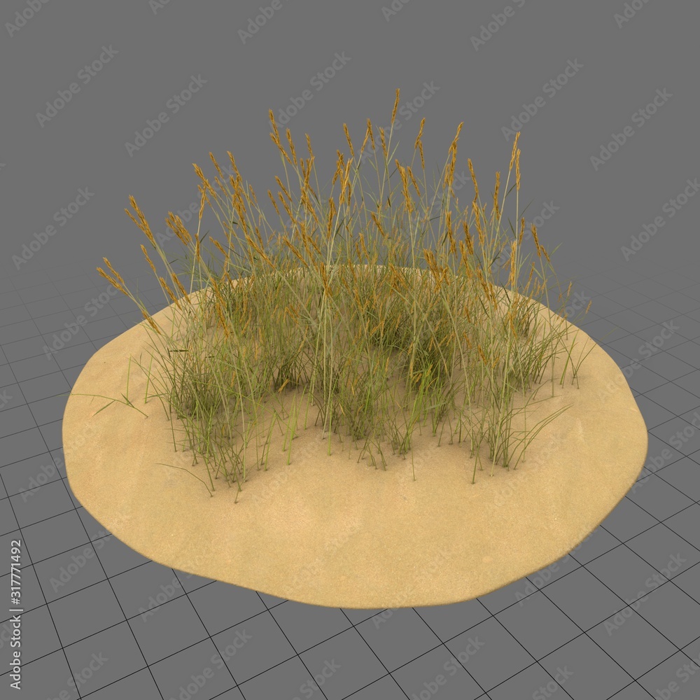 Sand dune with grass 1 Stock 3D asset | Adobe Stock